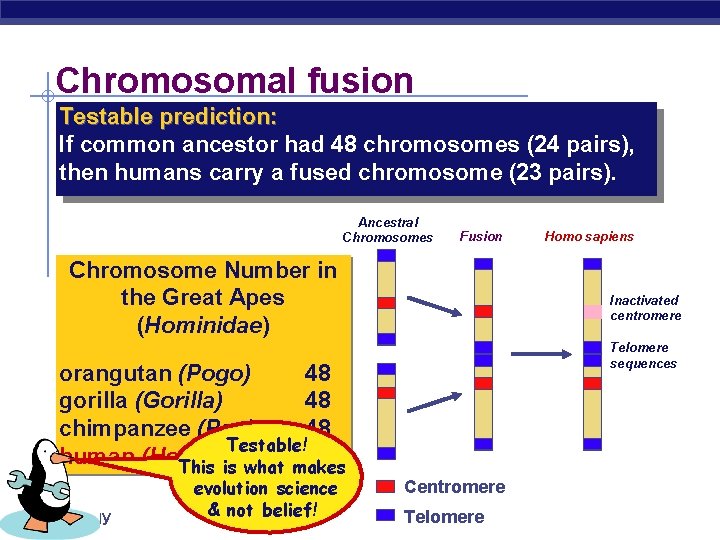 Evidence of Evolution by Natural Selection Testable Hypotheses