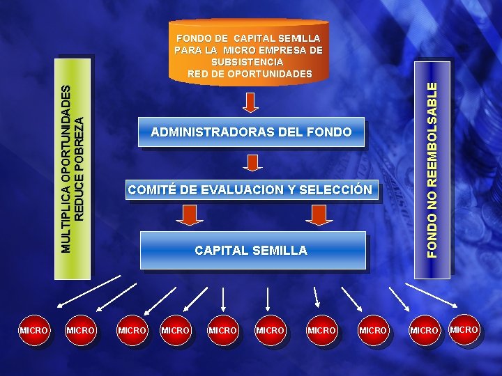LA MICRO PEQUEA Y MEDIANA EMPRESA EN PANAMA