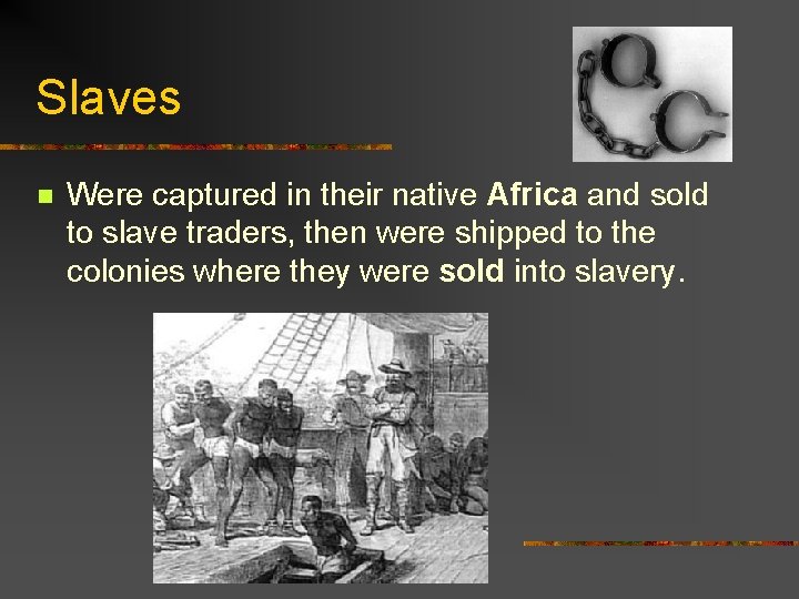 Social Groups of Colonial America Large Landowners n