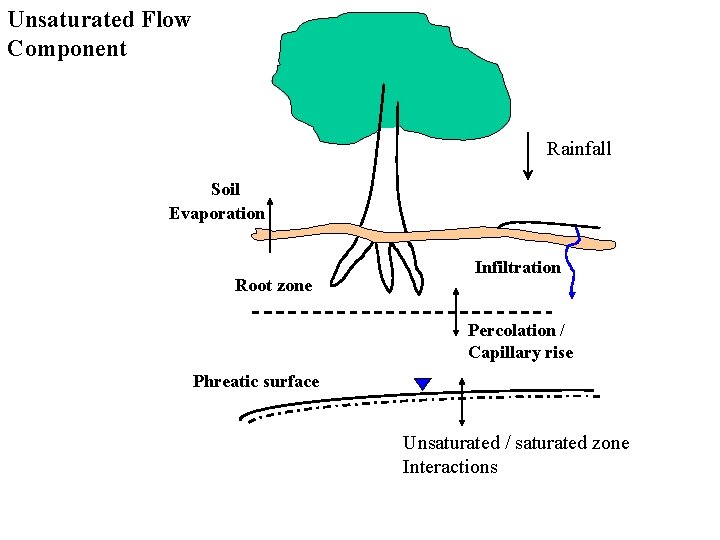 Science View Importance of Groundwater and SurfaceSubsurface Interactions