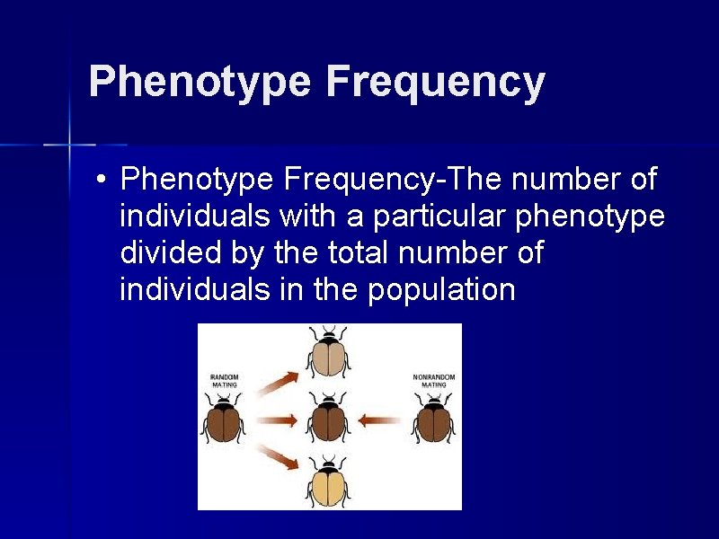Biology I Chapters 16 Do Now The diagram