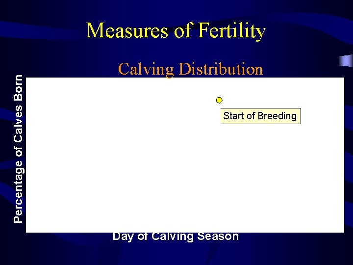 Management of Young Cows for Maximum Reproductive Performance