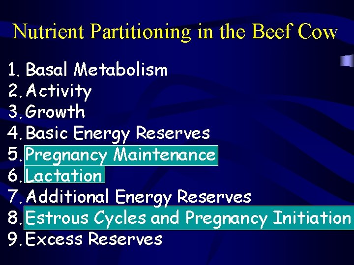 Management of Young Cows for Maximum Reproductive Performance