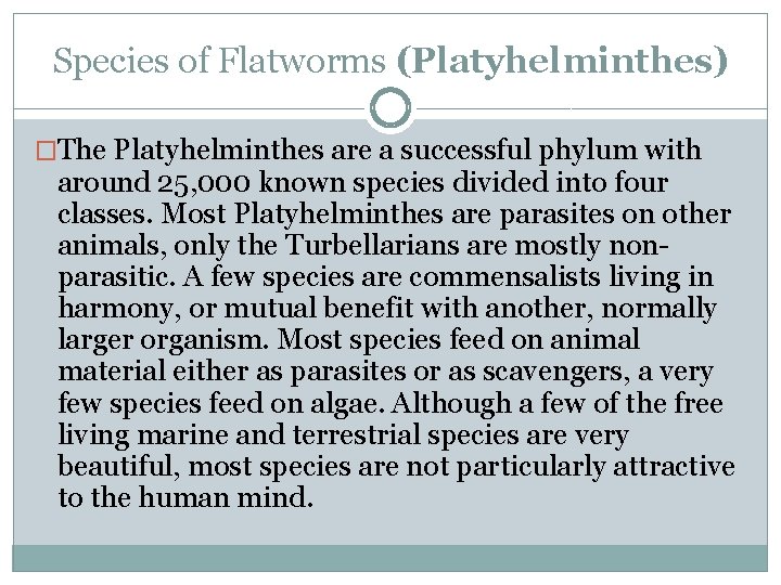 Platyhelminthes BY JAMES BURROWS Whats a Platyhelminthes Platyhelminthes