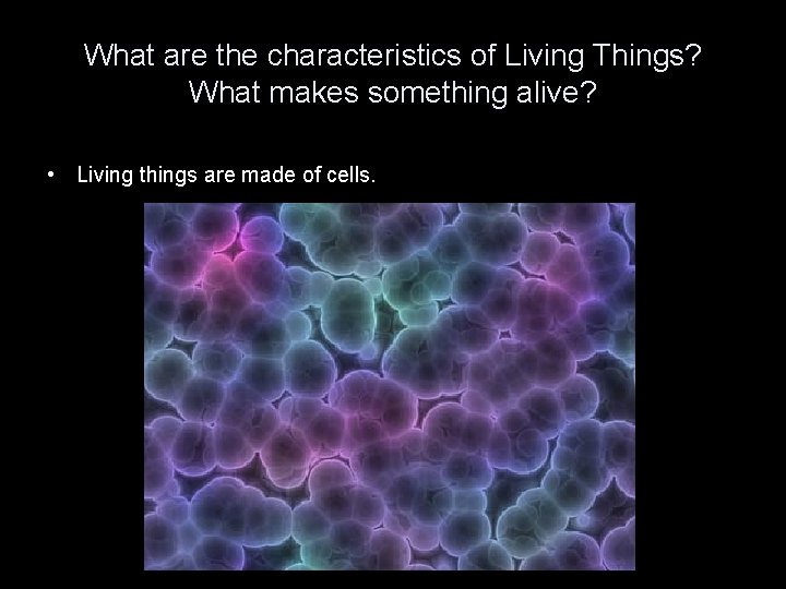 Classifying Living Things What are the characteristics of