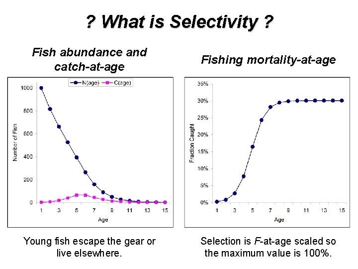 Fishery selection and its relevance to stock assessment