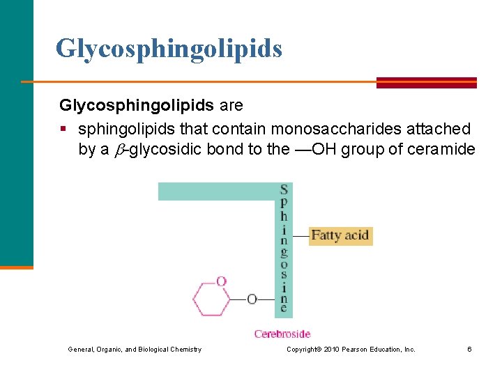Chapter 17 Lipids 17 6 Sphingolipids General Organic