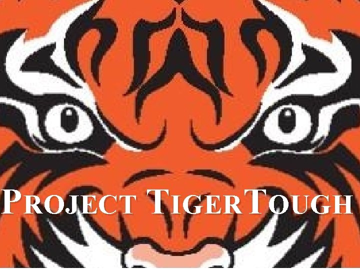 PROJECT TIGER TOUGH BACKGROUND E Y E of