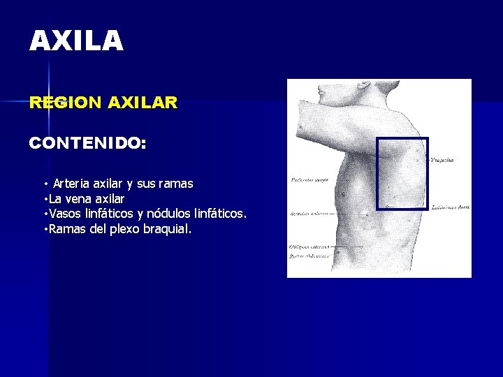Quiero agradecer Aquellas cosas que nunca ped Pero