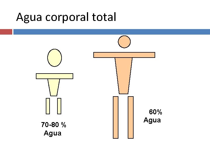 MEDIO INTERNO AGUA CORPORAL Dr Enrique Alvarez Lira