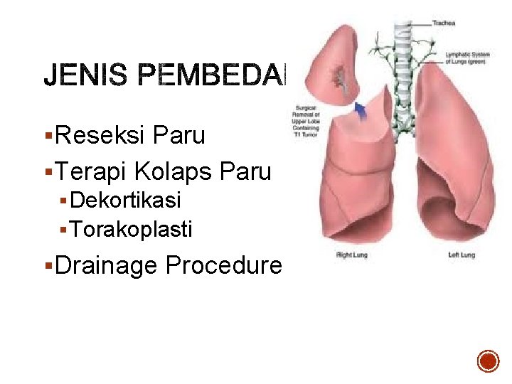 Daftar Riwayat Hidup DATA PRIBADI Nama Lengkap Tempat