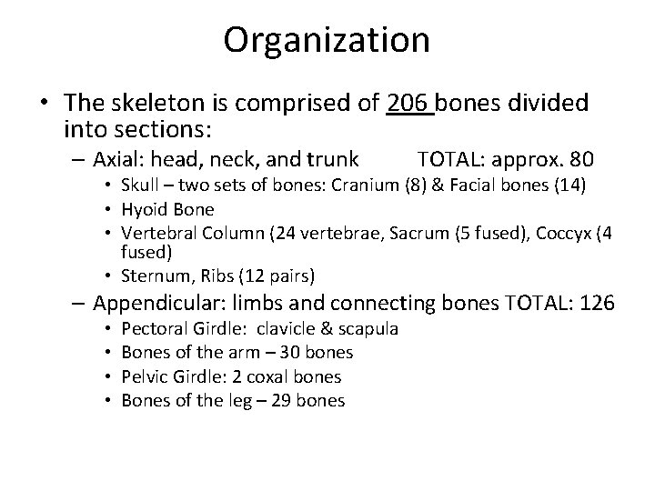 Chapter 5 Skeletal System Organization Bones is composed