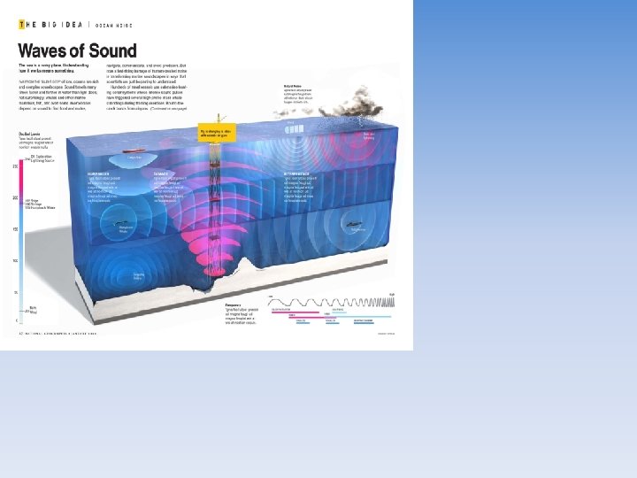 Marine Animal Acoustics and Anthropogenic Noise Marine animals