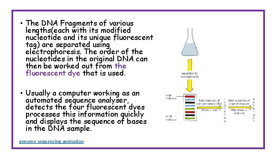 Higher Human Biology Unit 1 Human Cells Section