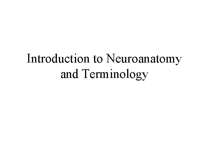 Introduction to Neuroanatomy and Terminology Main Regions of