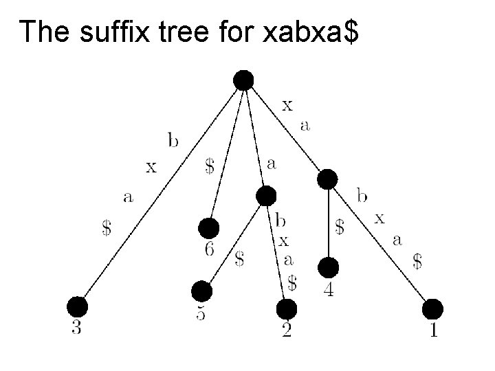 Suffix Trees and Suffix Arrays Some problems Given