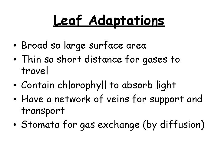 B 4 Summary Plant Cells Vacuole Cell Membrane