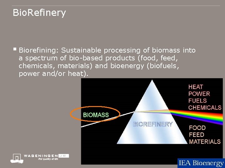 Biorefinery in Wageningen 2013 Marieke Bruins BCH Ton