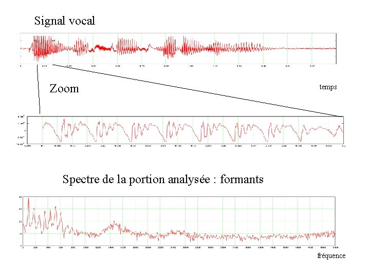 Le Signal Vocal Production du signal Modles de