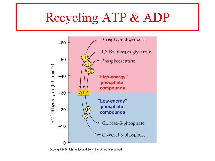 Metabolism II and Glycolysis 5703 Organic reaction mechanisms