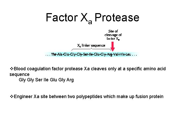 Unit III Lecture 4 B Tech Biotechnology III