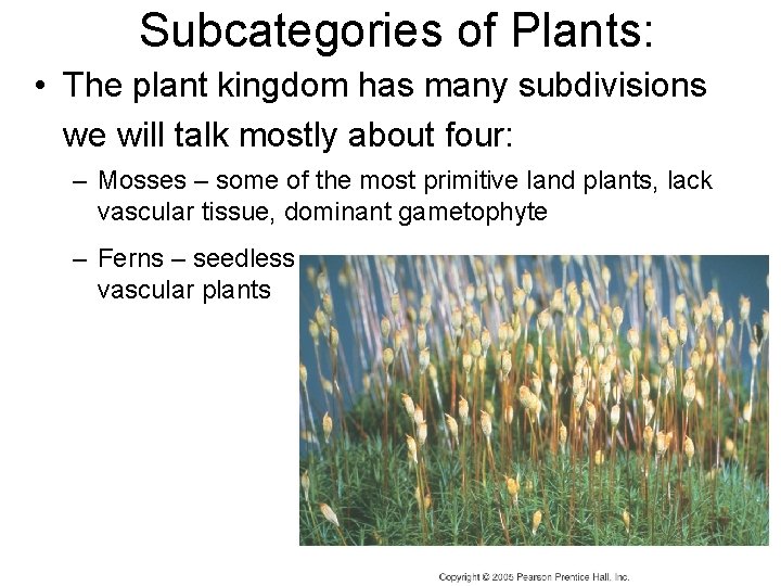 Biology 103 Main pointsQuestions 1 Remember how plants