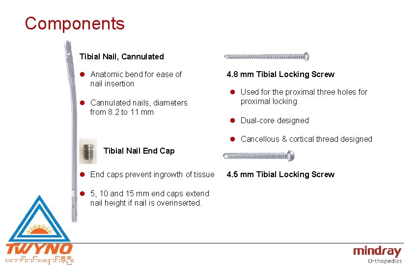 Tibial Nail Cannulated Anatomy of tibia Proximal Distal