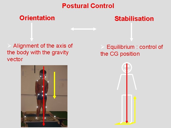 Scoliose idiopathique de ladolescent et facteurs neurosensoriels Table