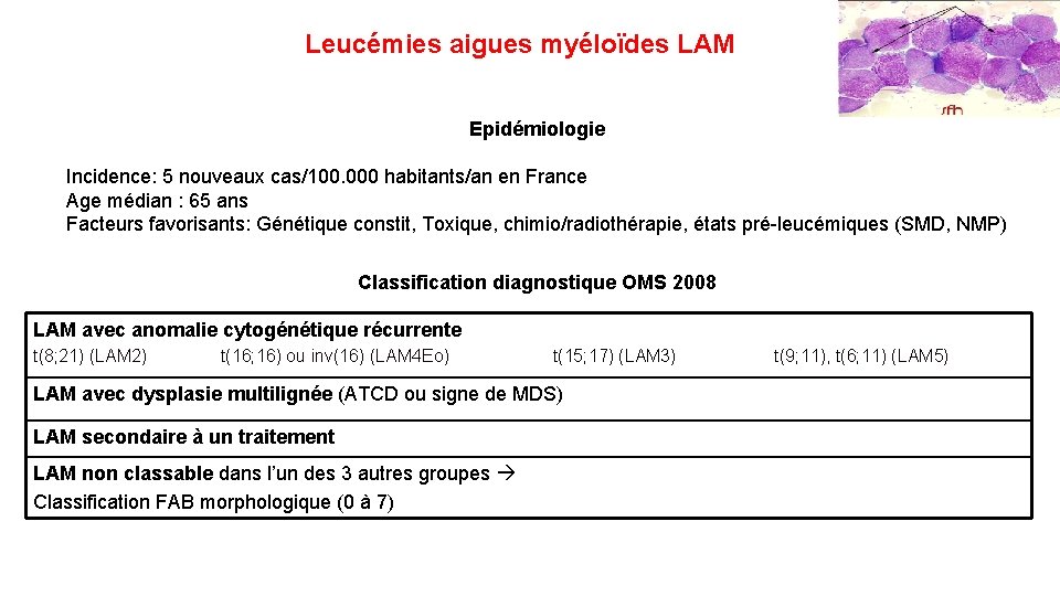 CONF FLASH HEMATO Martin CARRE CCA en hmatologie