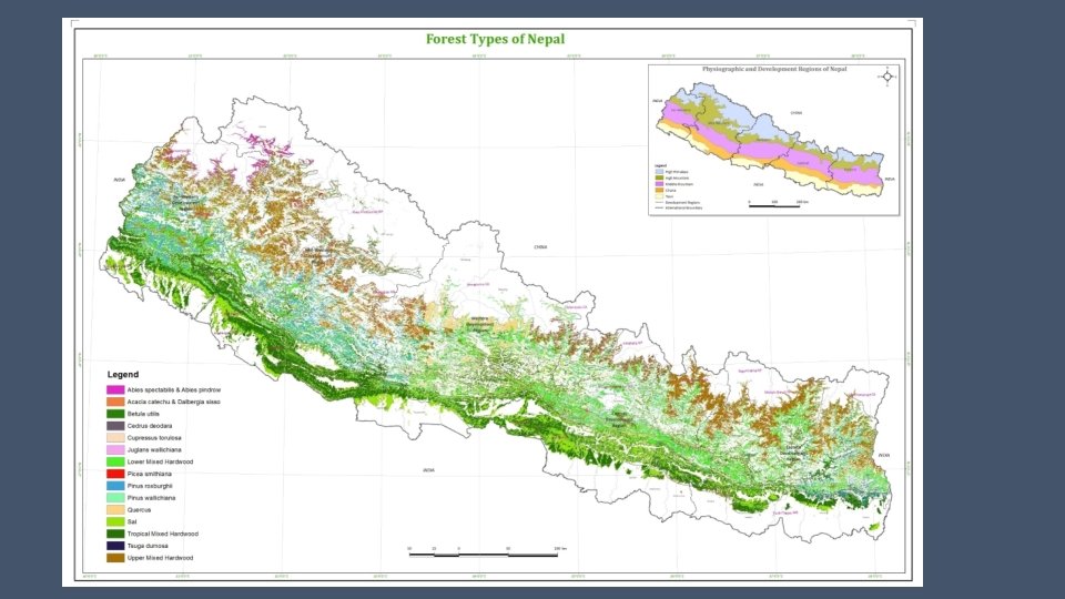 Geospatial Applications in Forest Resource Assessment of Nepal