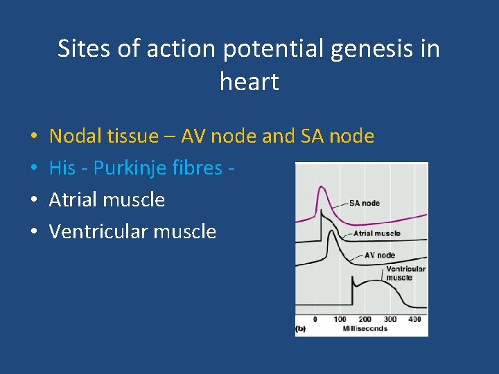 Cardiac action potential Dr Shreetal Rajan Nair Introduction