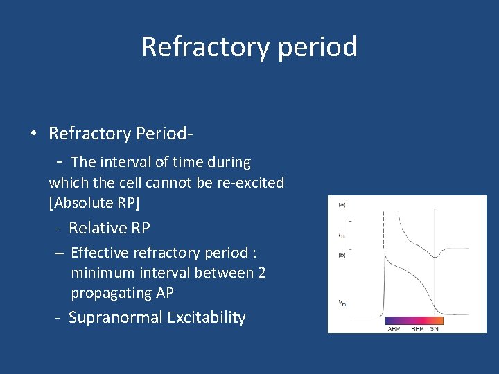 Cardiac action potential Dr Shreetal Rajan Nair Introduction
