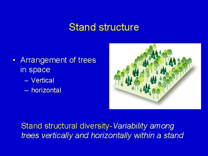 Forest Mensuration II Special Lecture Stand Structural Diversity