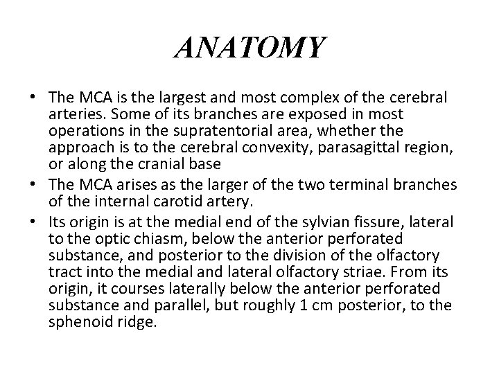 ANATOMY The MCA is the largest and most