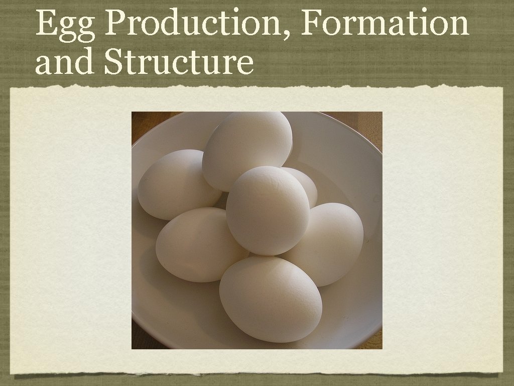 Egg Production Formation and Structure Objectives Identify the