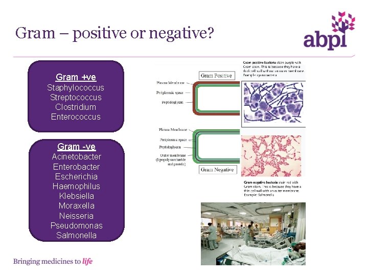 Antimicrobial resistance AMR a pharmaceutical industry perspective 17