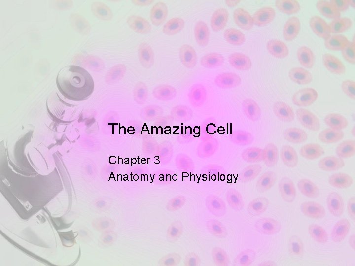 The Amazing Cell Chapter 3 Anatomy and Physiology