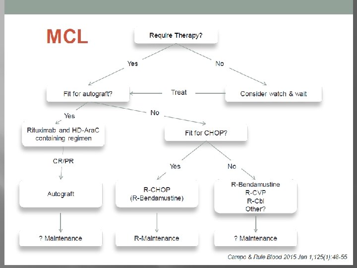 CASE STUDY Mantle Cell Lymphoma MANTLE CELL LYMPHOMA