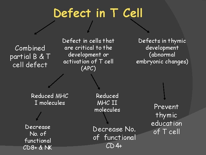 Immunodeficiences REFIF S ALSHAWK LEC 4 5 Autoimmunity