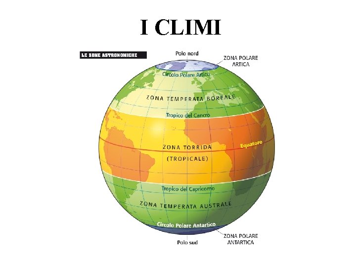 I CLIMI LE ZONE CLIMATICHE Bioma Complesso degli