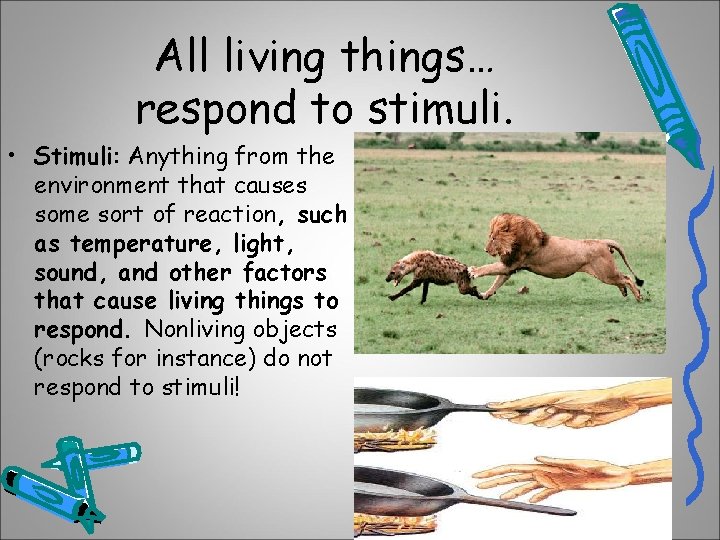6 Characteristics of Living Things Mr Carney 6