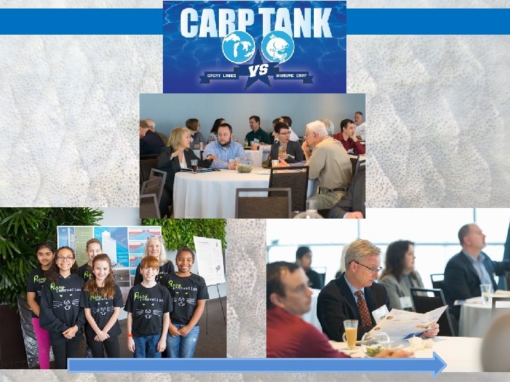 Great Lakes Invasive Carp Challenge Tammy Newcomb Joanne