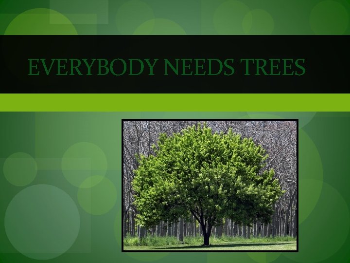EVERYBODY NEEDS TREES Trees time to think 1