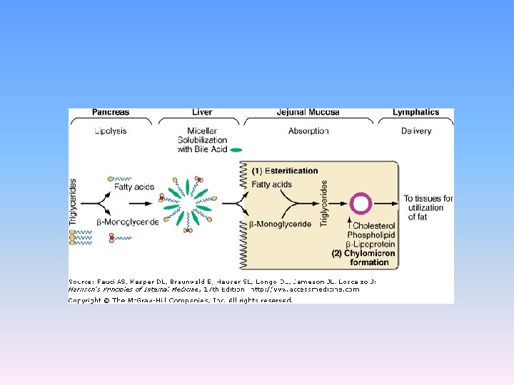 Disorders of Absorption Introduction Broad spectrum of conditions