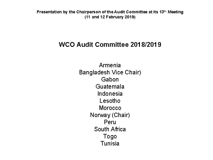 Presentation by the Chairperson of the Audit Committee
