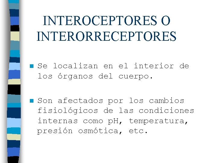 RECEPTORES SENSORIALES Los sentidos nos informan de todo