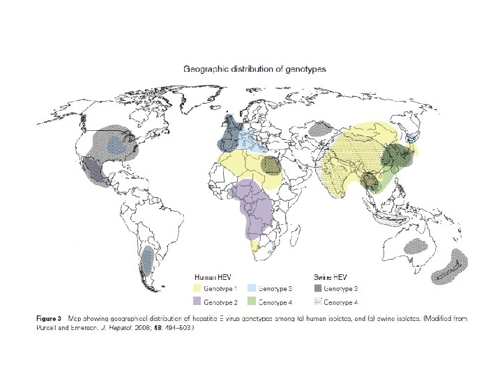 Viral Hepatitis Infectious Viral hepatitis Serum Enterically E