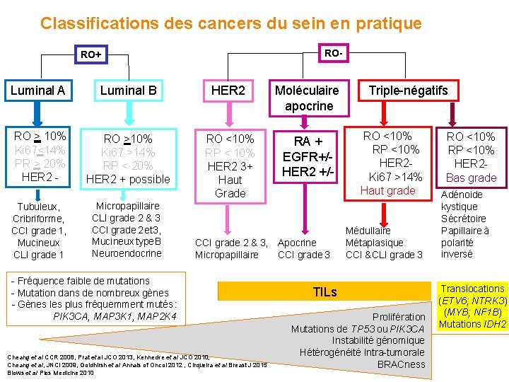 Classification molculaire et audel des cancers du sein