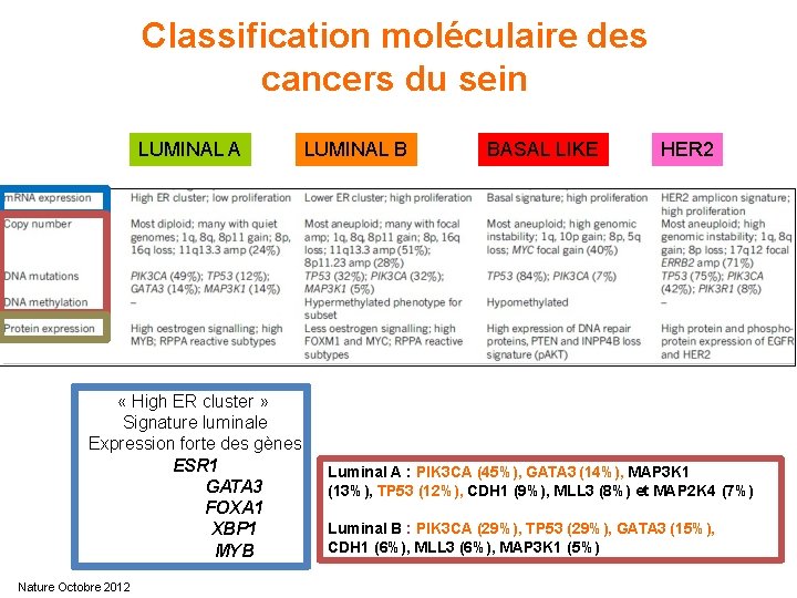 Classification molculaire et audel des cancers du sein