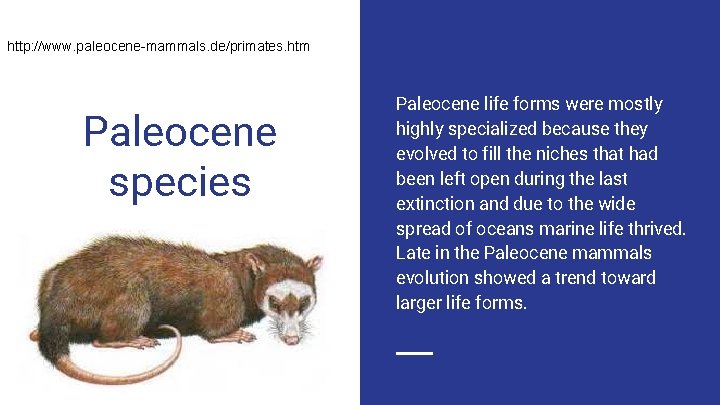 The Epochs Paleocene Eocene Oligocene Miocene Pliocene Holocene